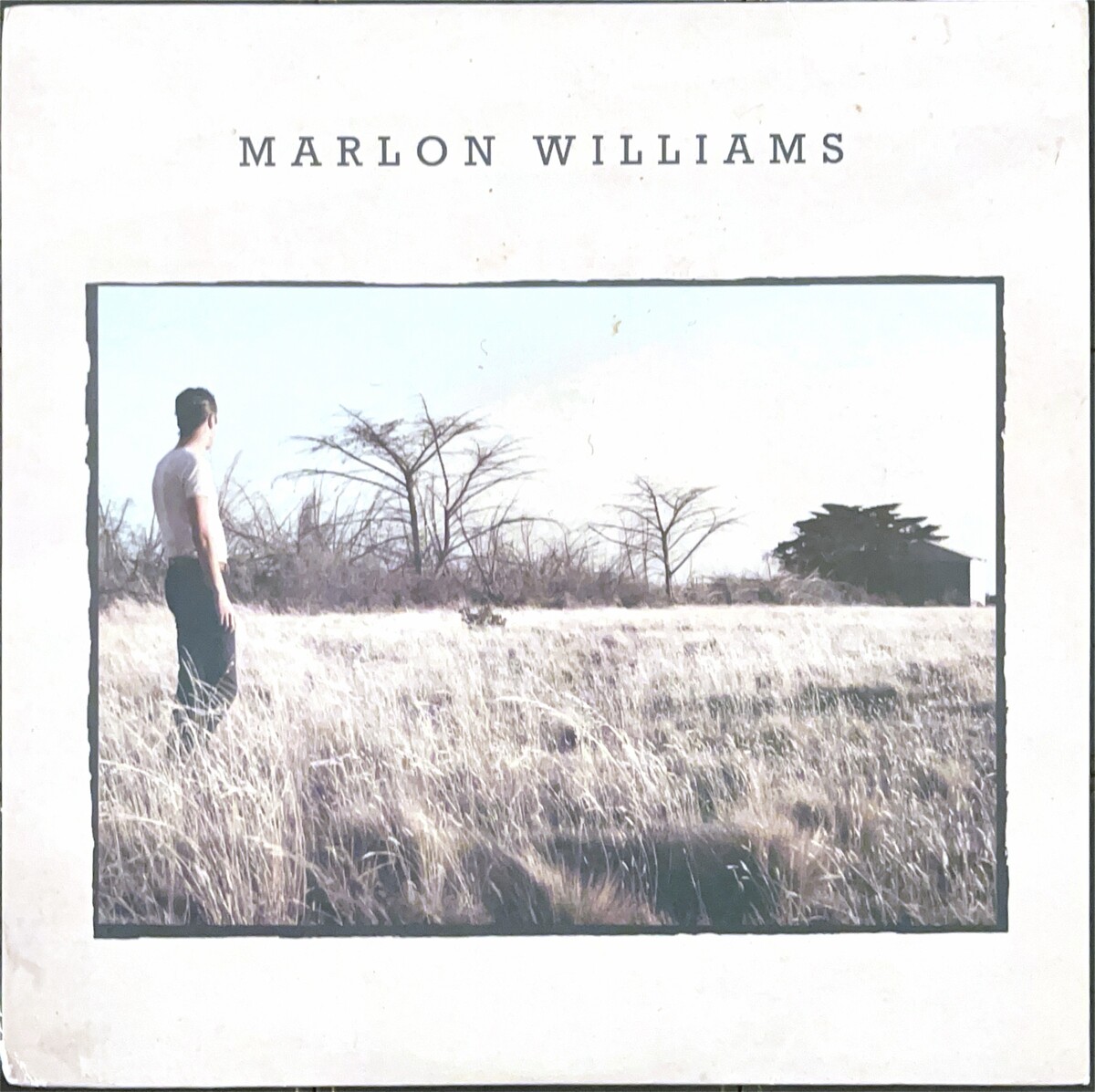 Marlon Williams by Marlon Williams (Album; Dead Oceans; LC29265): Reviews, Ratings, Credits ...