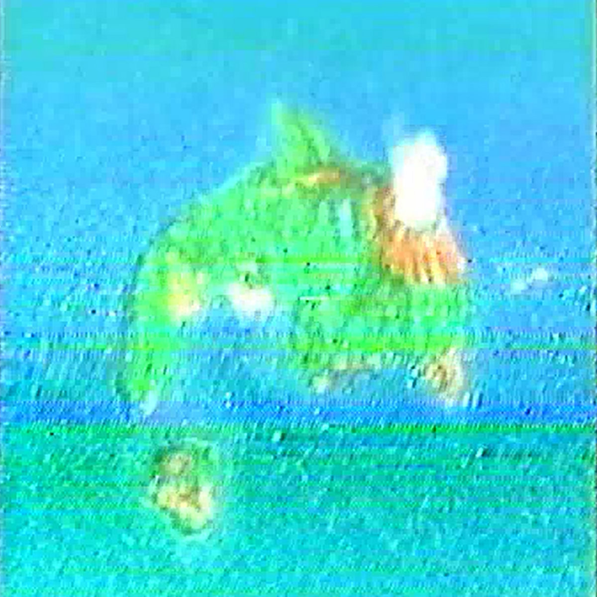 Toadofsky Albums: songs, discography, biography, and listening guide ...