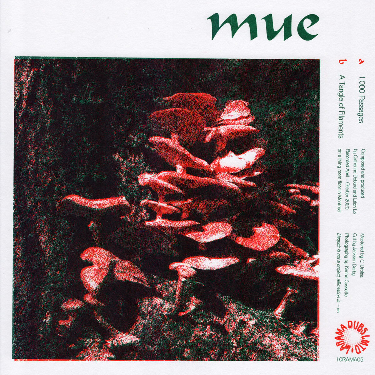 1,000 Passages / A Tangle of Filaments by Mue (Single): Reviews ...