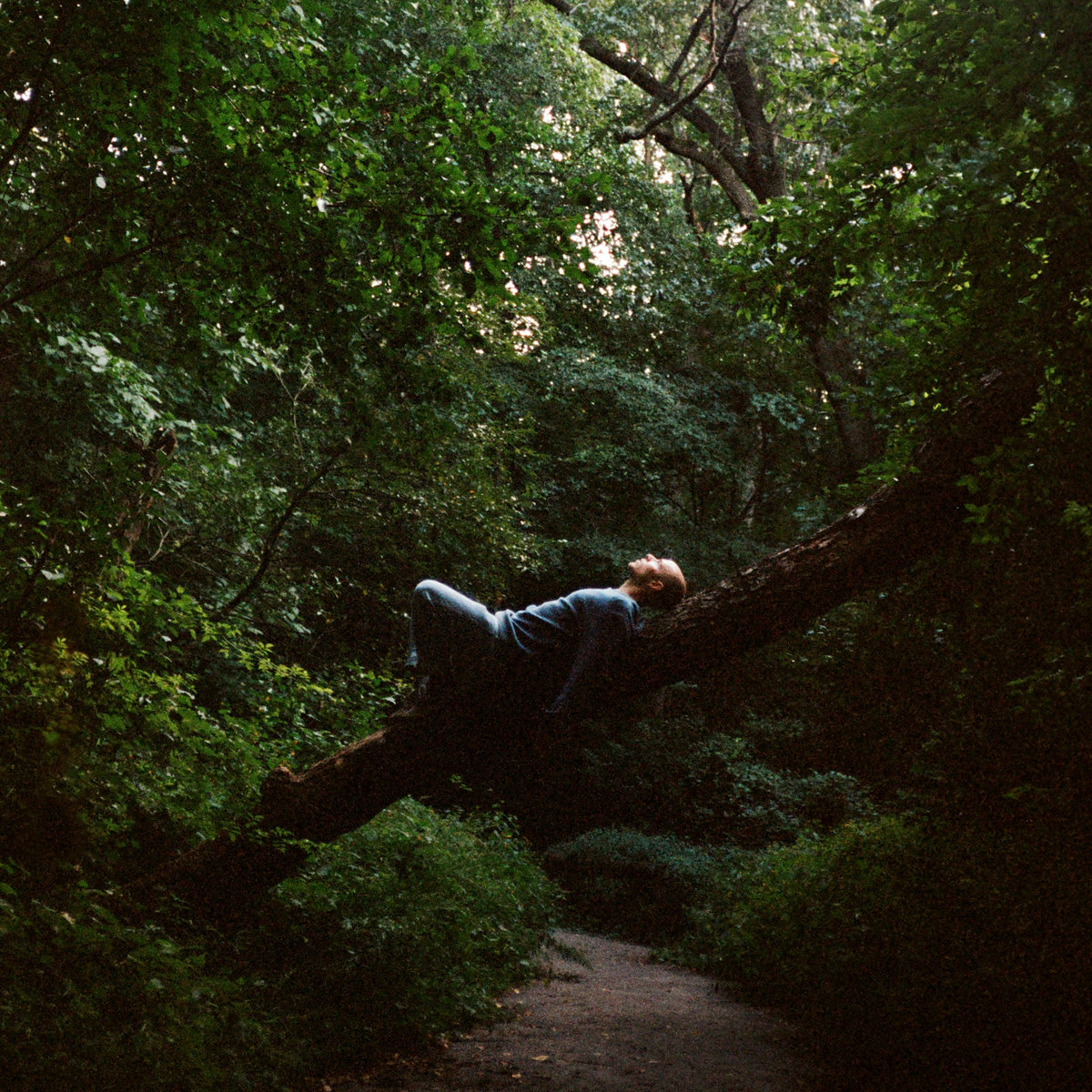 Webs by Weaving (Album): Reviews, Ratings, Credits, Song list - Rate ...