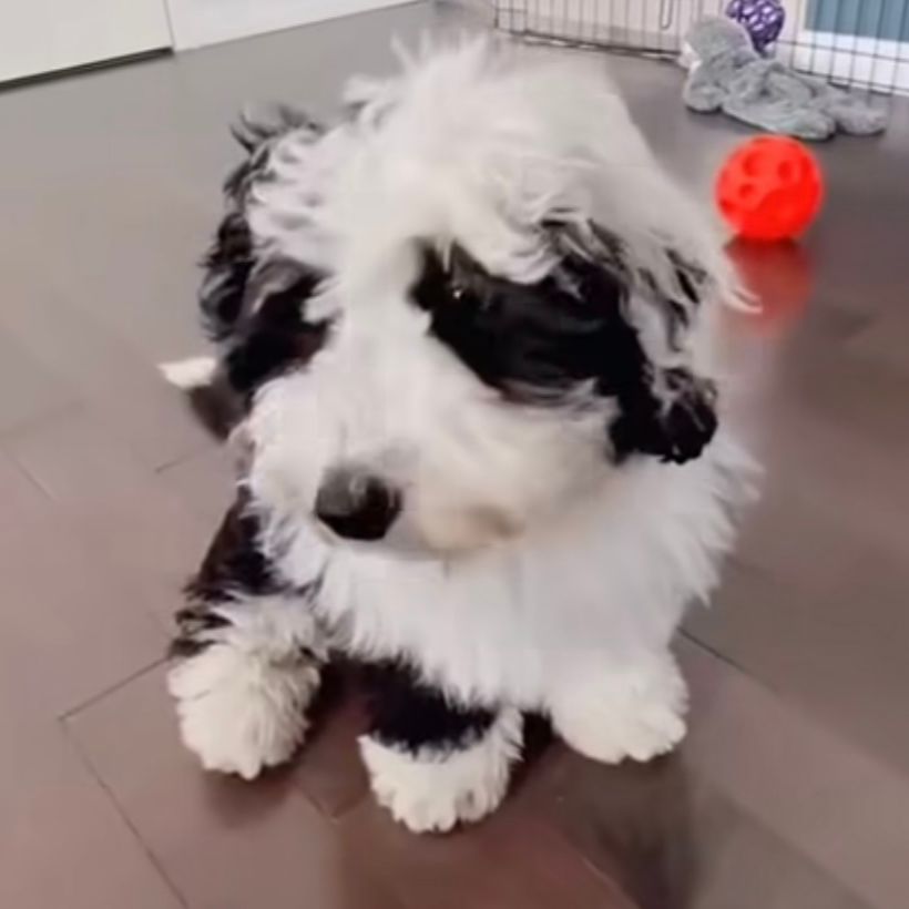 Left Behind by deet (Single): Reviews, Ratings, Credits, Song list ...