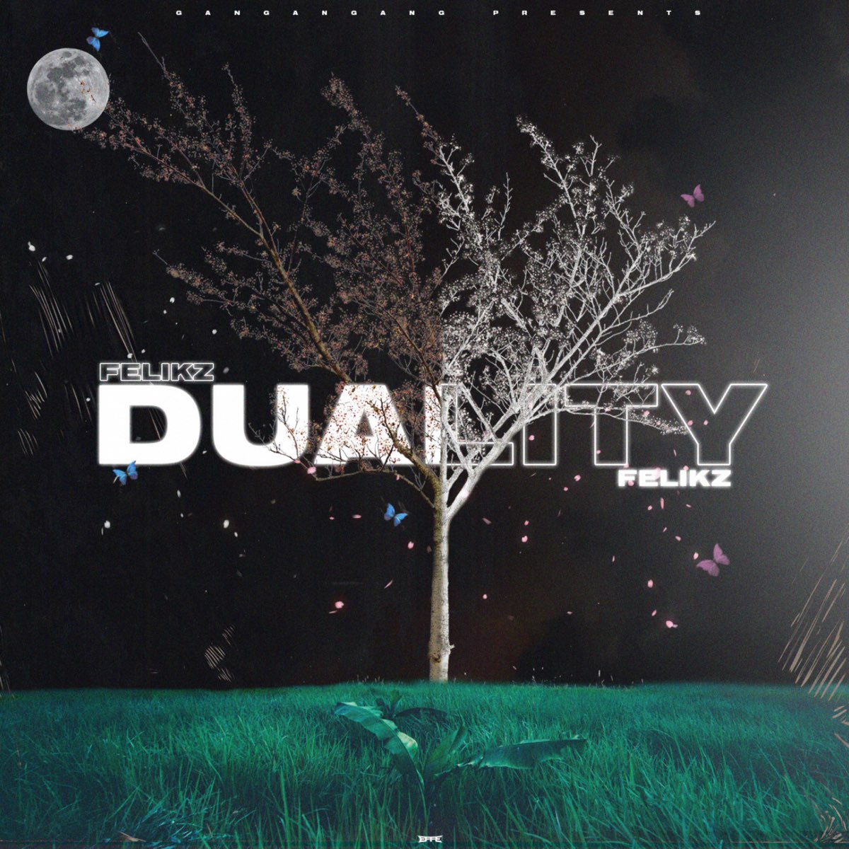 Duality by Felikz (Mixtape): Reviews, Ratings, Credits, Song list ...