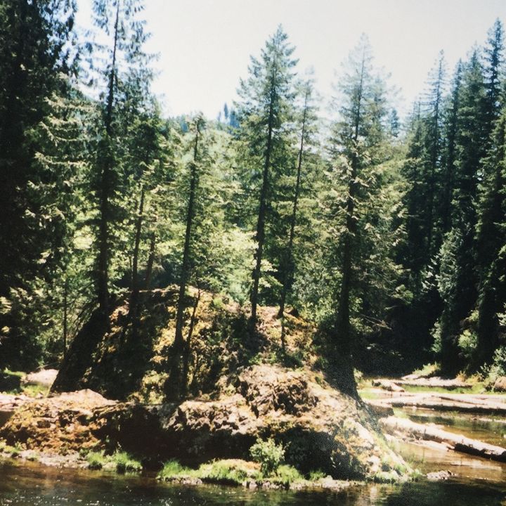 In the Shade of the Pine by Mitch (DJ Mix): Reviews, Ratings, Credits ...