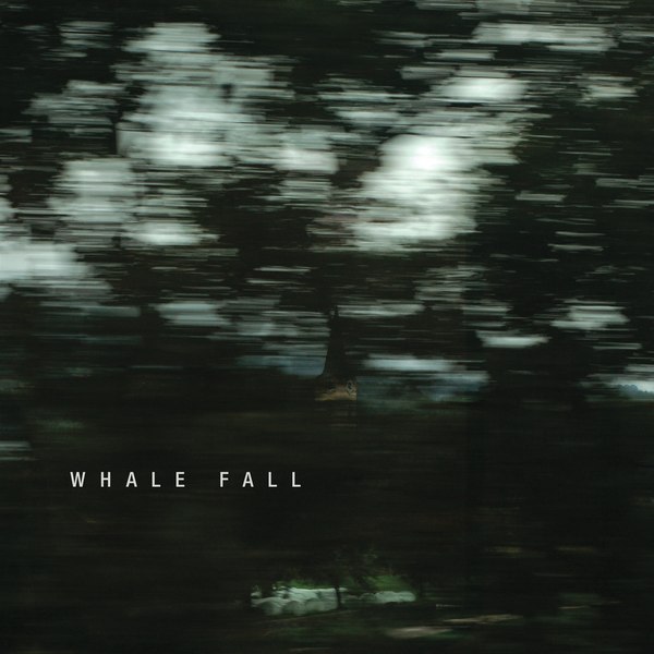 Best Whale Fall songs of all time - Rate Your Music
