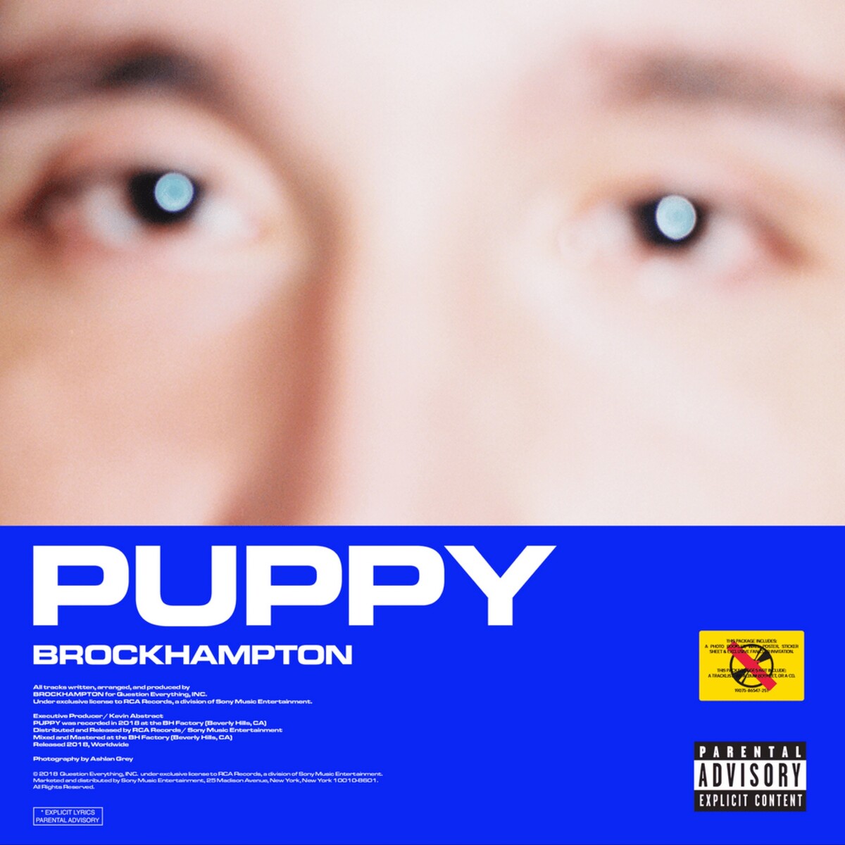 PUPPY by BROCKHAMPTON (Bootleg): Reviews, Ratings, Credits, Song list ...