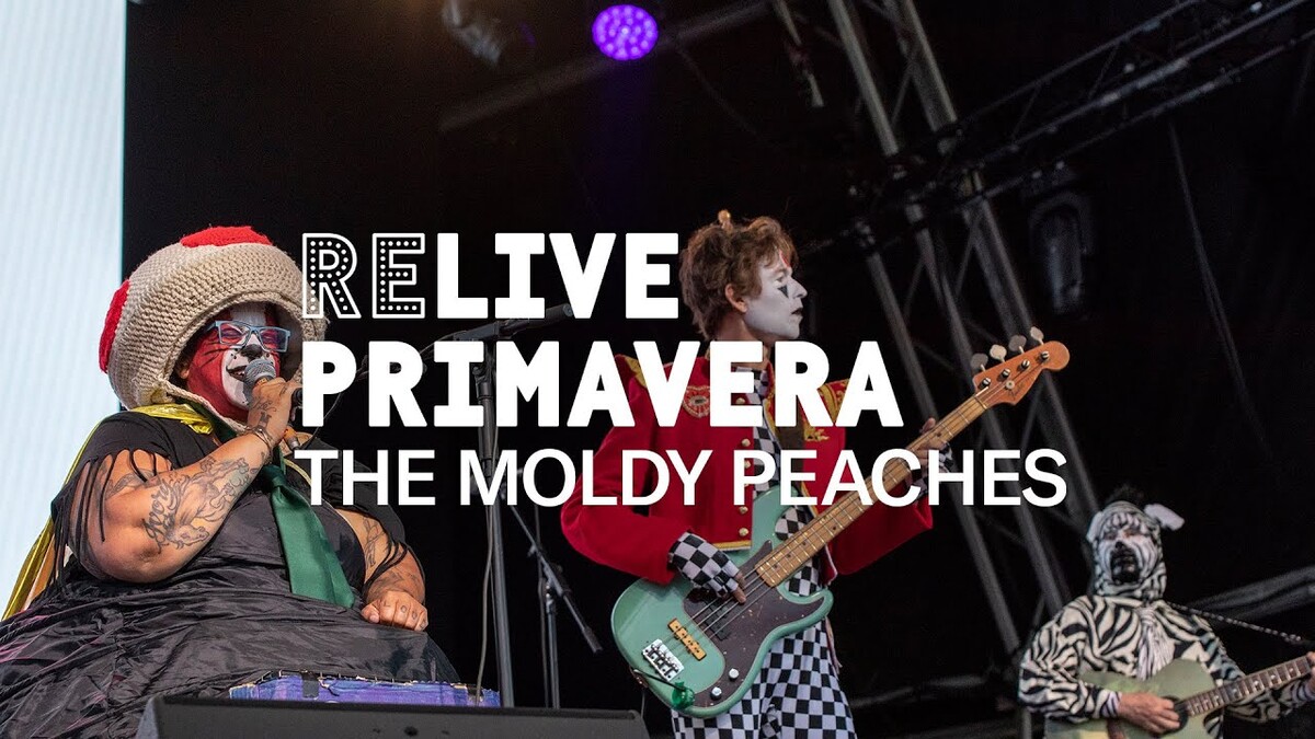 The Moldy Peaches Albums: songs, discography, biography, and listening ...