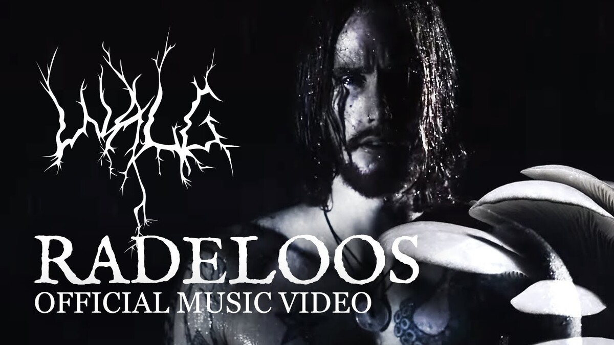 Radeloos by Walg (Music video): Reviews, Ratings, Credits, Song list ...