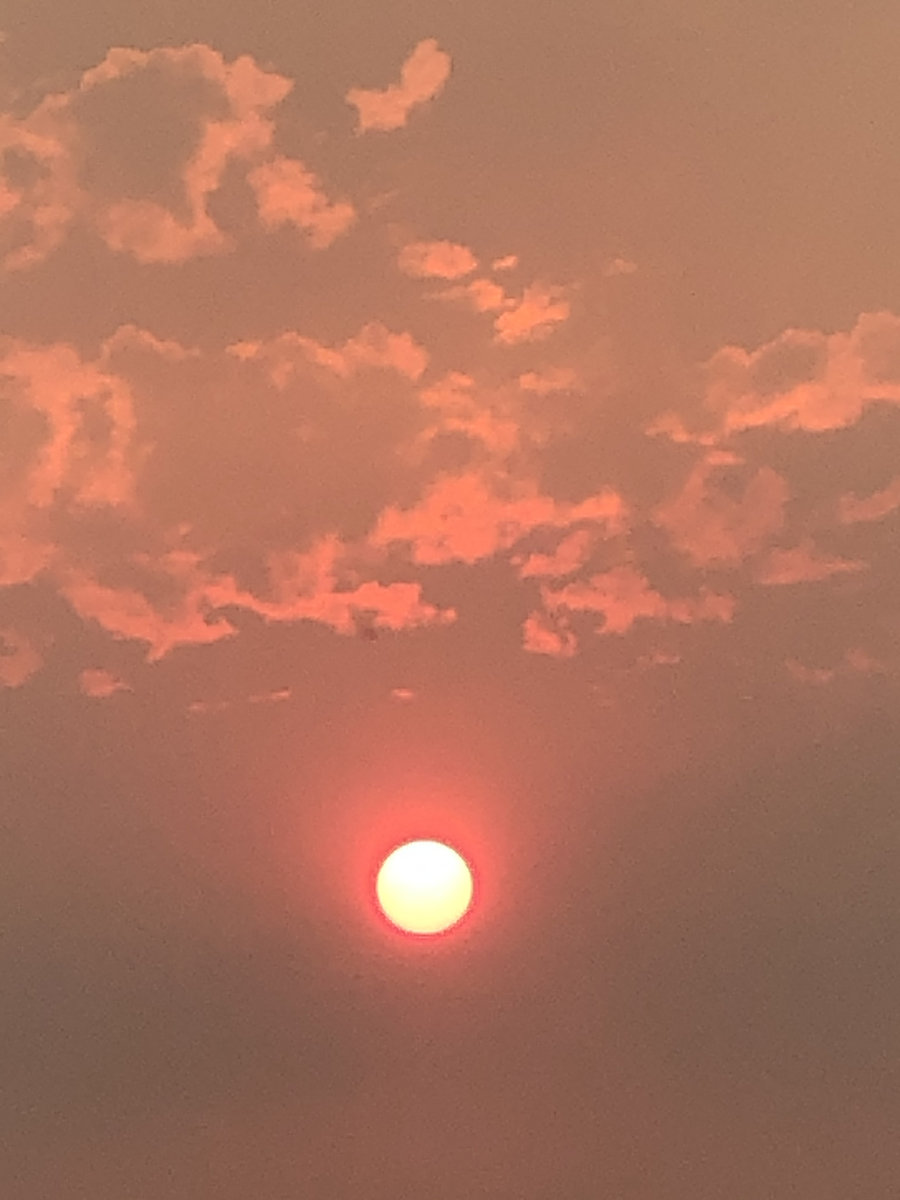 Most popular Slowcore additional releases of 2021 - Rate Your Music