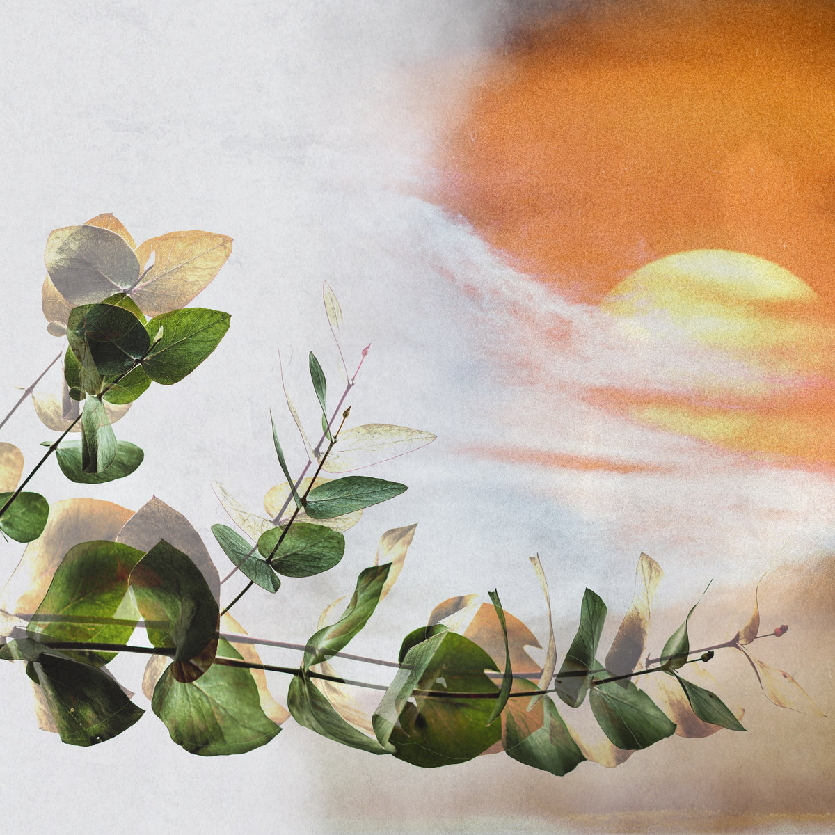 Chamberlain by Olma (Album): Reviews, Ratings, Credits, Song list ...