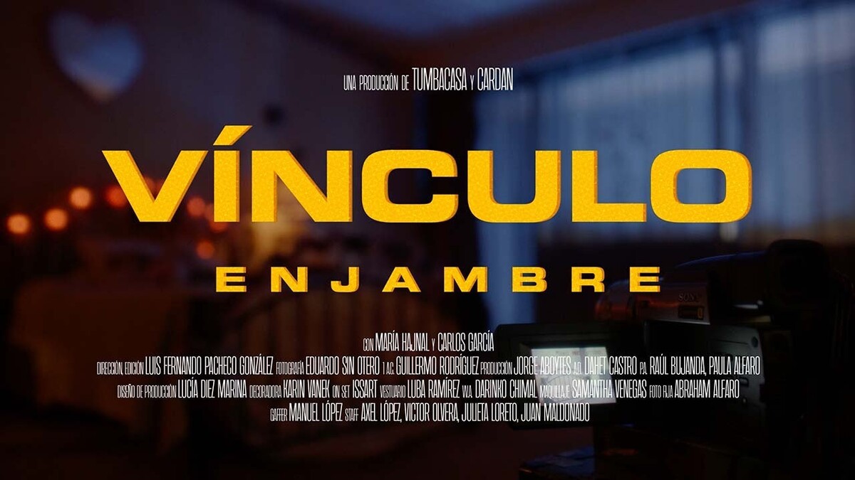 Vinculo by Enjambre (Music video): Reviews, Ratings, Credits, Song list - Rate Your Music