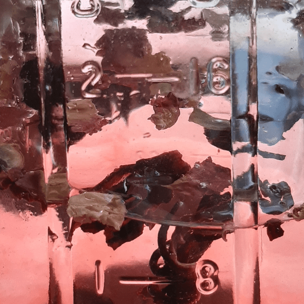 Best Ambient Dub albums of the 2020s - Rate Your Music