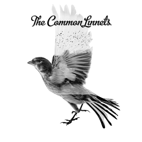 The Common Linnets by The Common Linnets (Album, Country Pop): Reviews ...