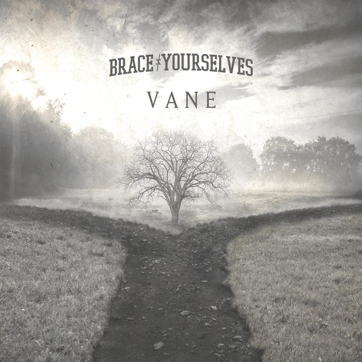 Vane by Brace Yourselves (Single): Reviews, Ratings, Credits, Song list ...