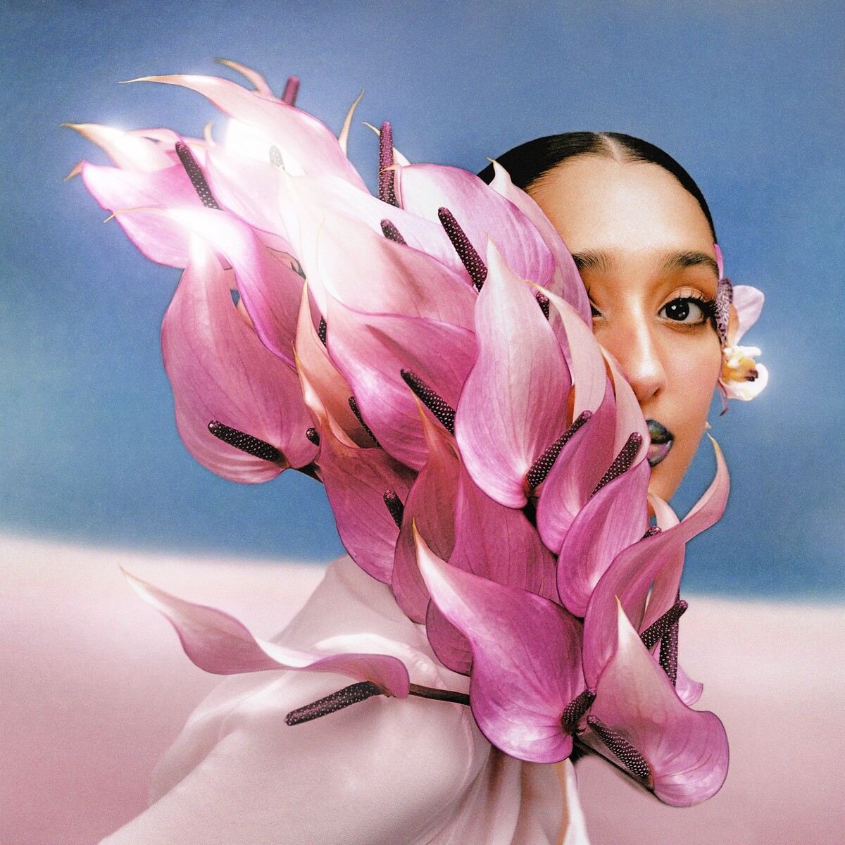 Where the Butterflies Go in the Rain by Raveena (Album, Neo-Soul ...