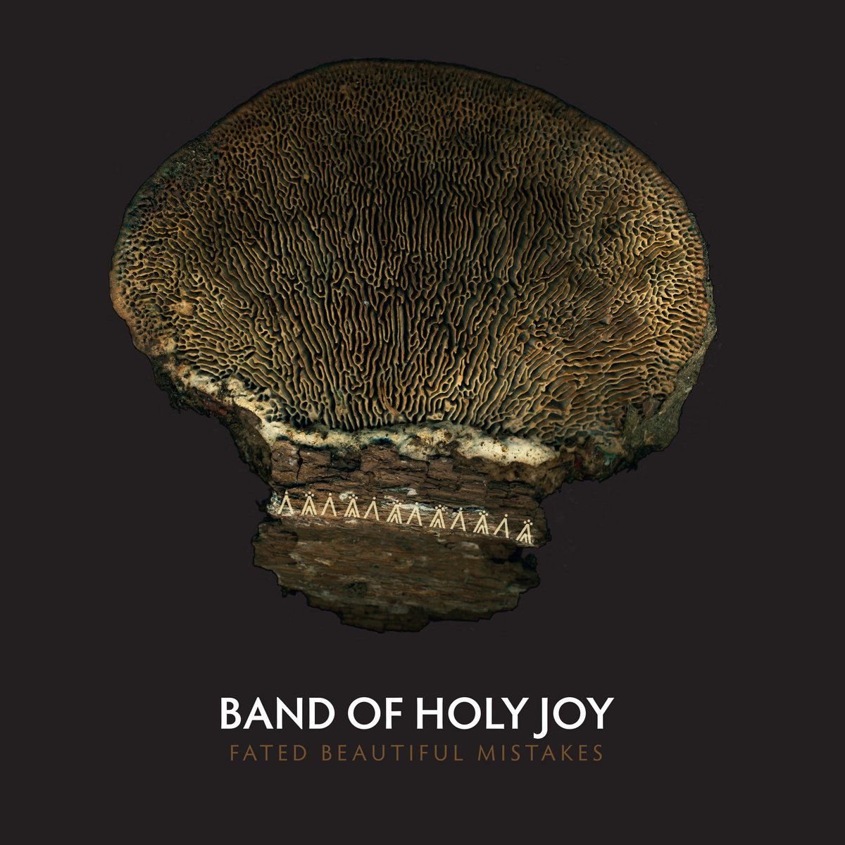 Fated Beautiful Mistakes by The Band of Holy Joy (Album): Reviews ...