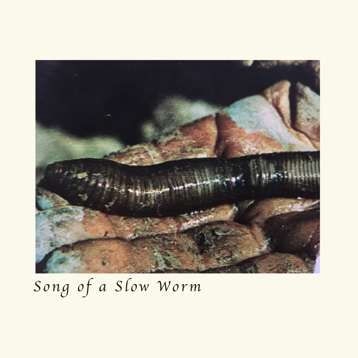 Song of a Slow Worm by The Worm (Single, Chamber Folk): Reviews ...