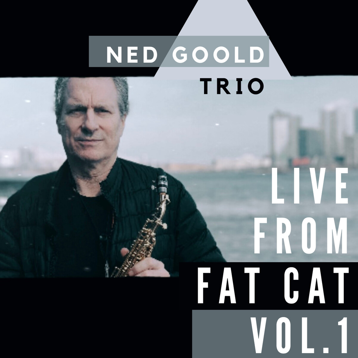 Live From Fat Cat Vol. 1 by Ned Goold (Album): Reviews, Ratings ...