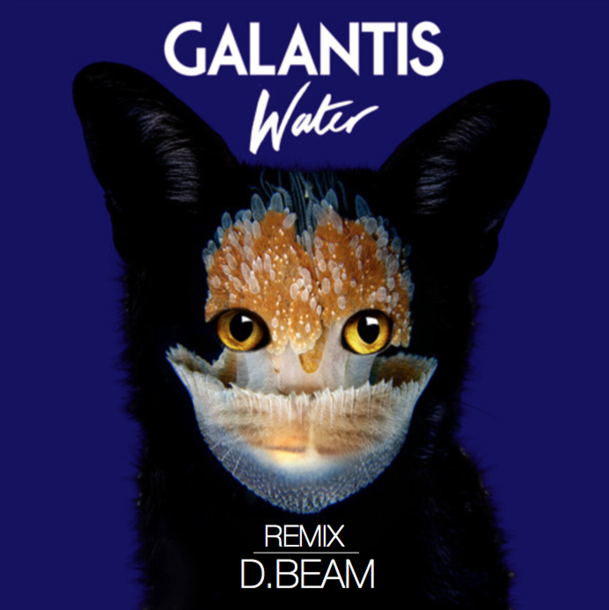 Water (Remix D.Beam) by D.Beam (Single): Reviews, Ratings, Credits ...