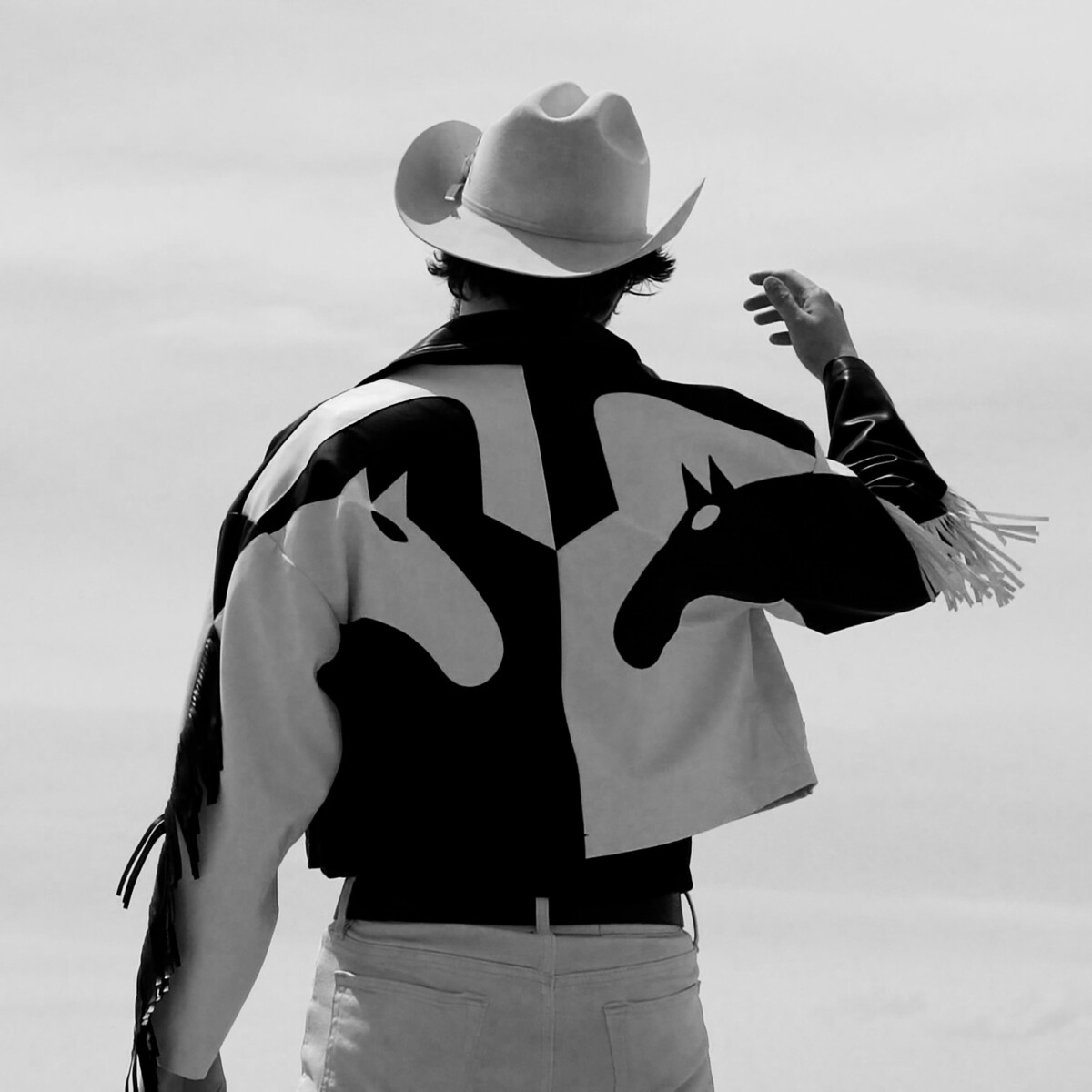 Husky Voice by Brian David Gilbert (Single): Reviews, Ratings, Credits ...