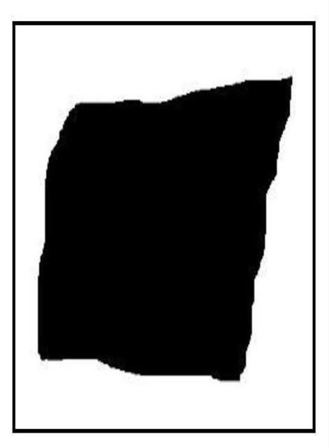 Black Bag by Vomir (Album; Signora Ward; WARD017): Reviews, Ratings ...