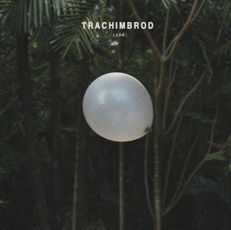 Trachimbrod Albums: songs, discography, biography, and listening guide ...