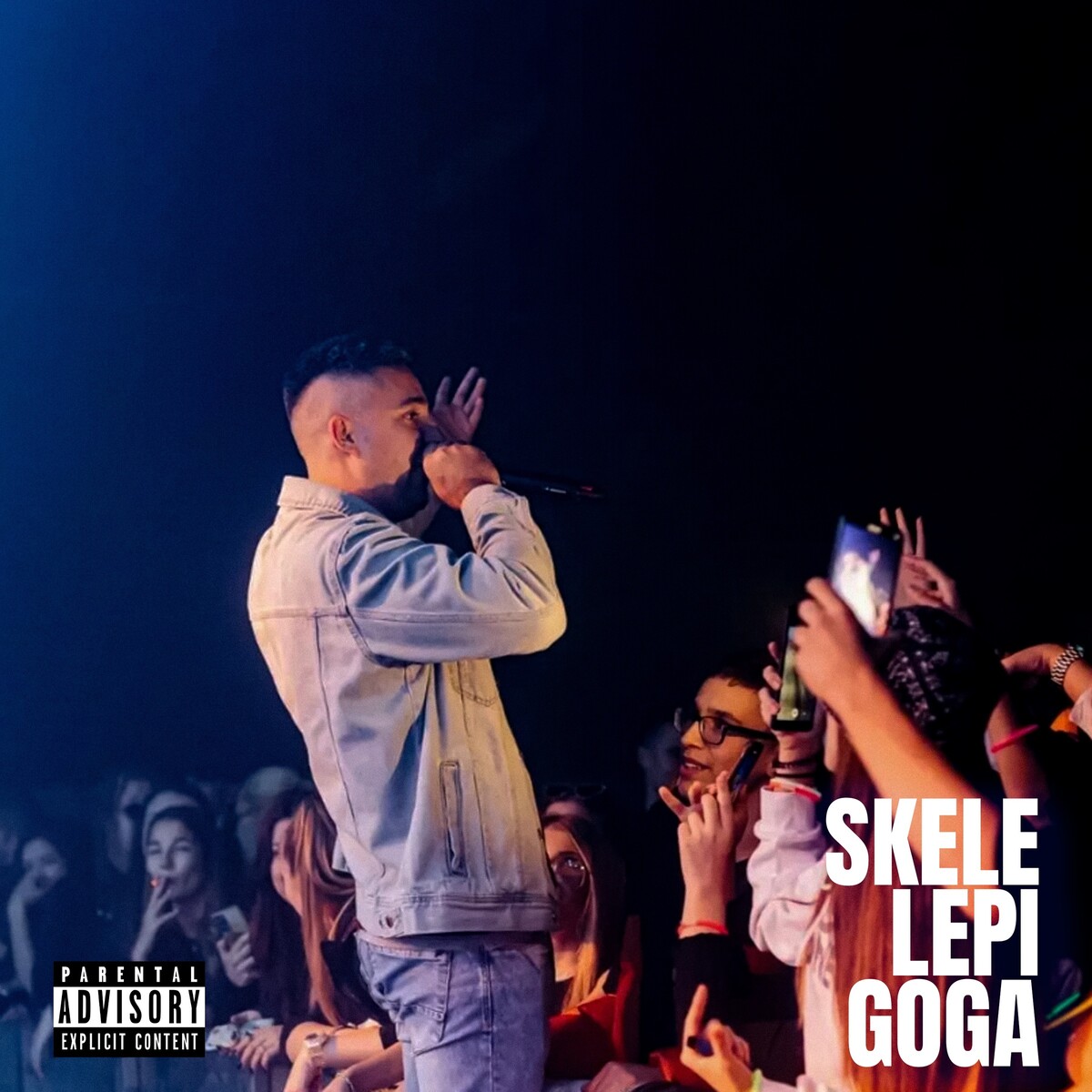Lepi Goga by Skele (Single): Reviews, Ratings, Credits, Song list ...