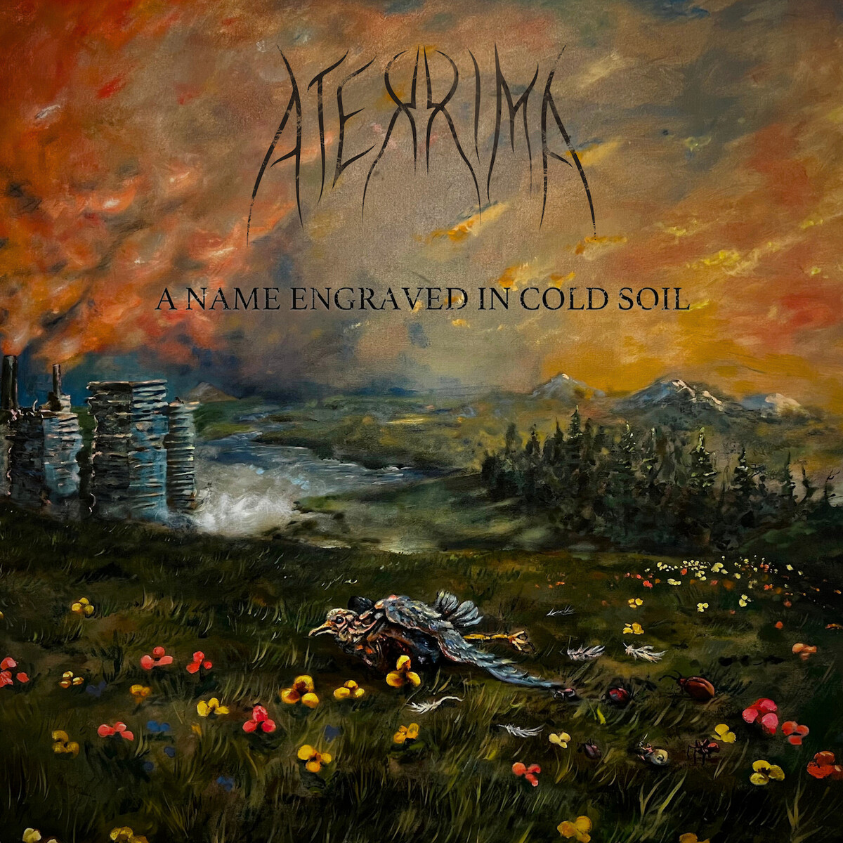 A Name Engraved in Cold Soil by Aterrima (Album; Fiadh; FP258): Reviews ...