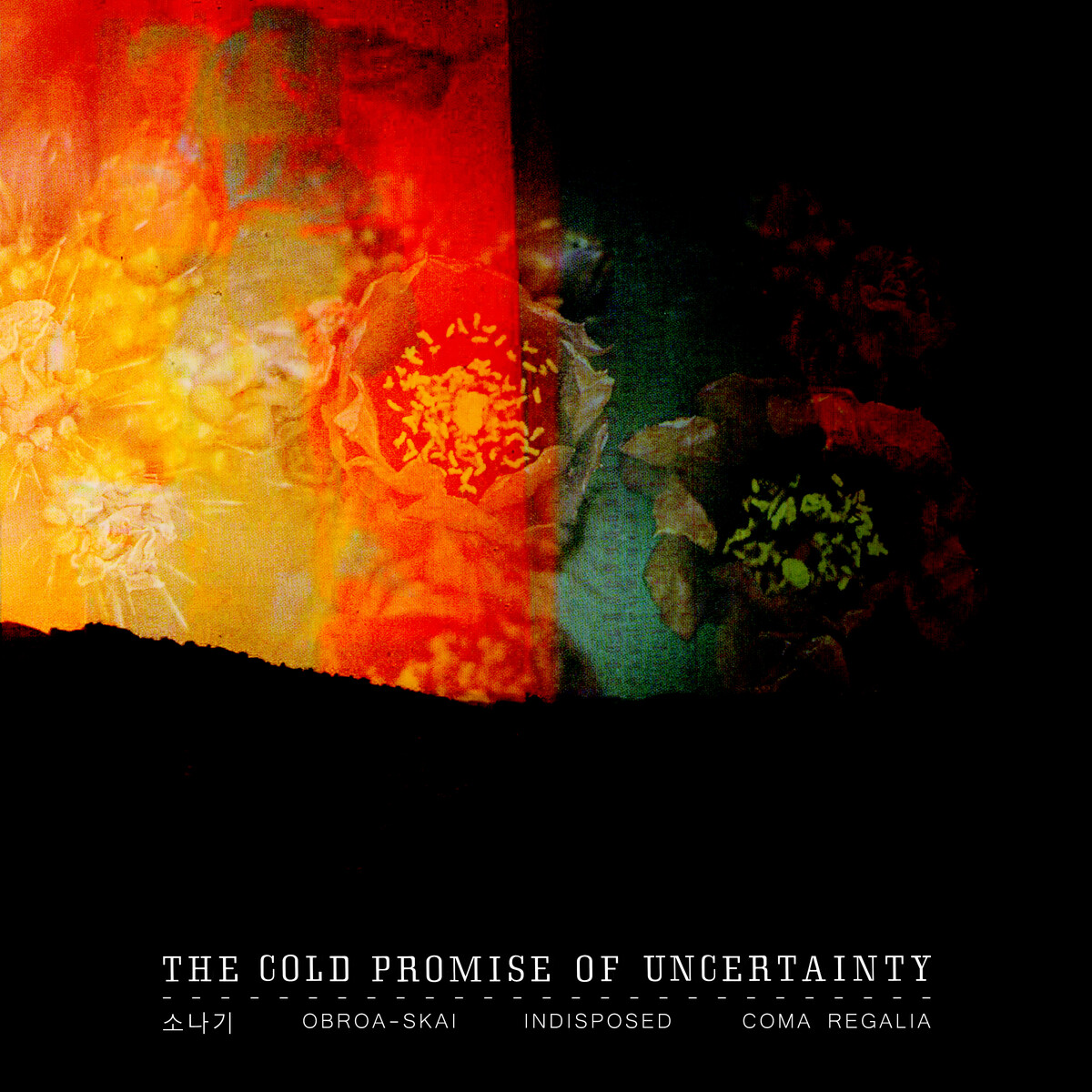 Indisposed Albums: songs, discography, biography, and listening guide ...