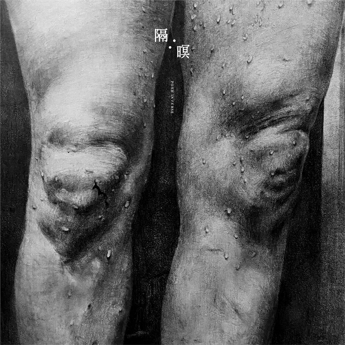 隔暝 by 優雅逆轉 [Posh Inverse] (Album, Post-Rock): Reviews, Ratings, Credits ...