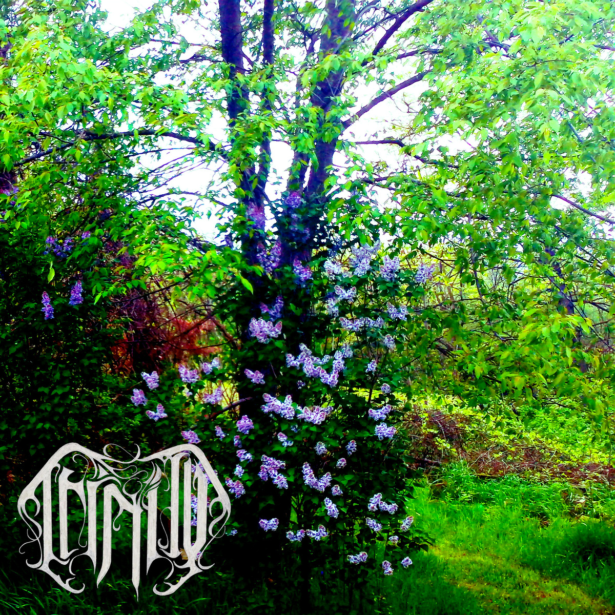 Trinity by Trinity (Album, Atmospheric Black Metal): Reviews, Ratings ...