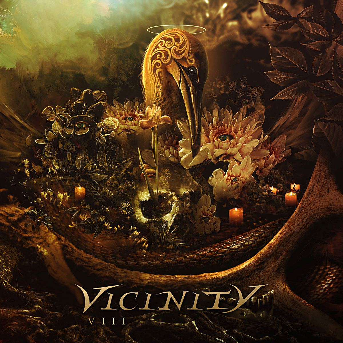 Vicinity Albums: songs, discography, biography, and listening guide ...