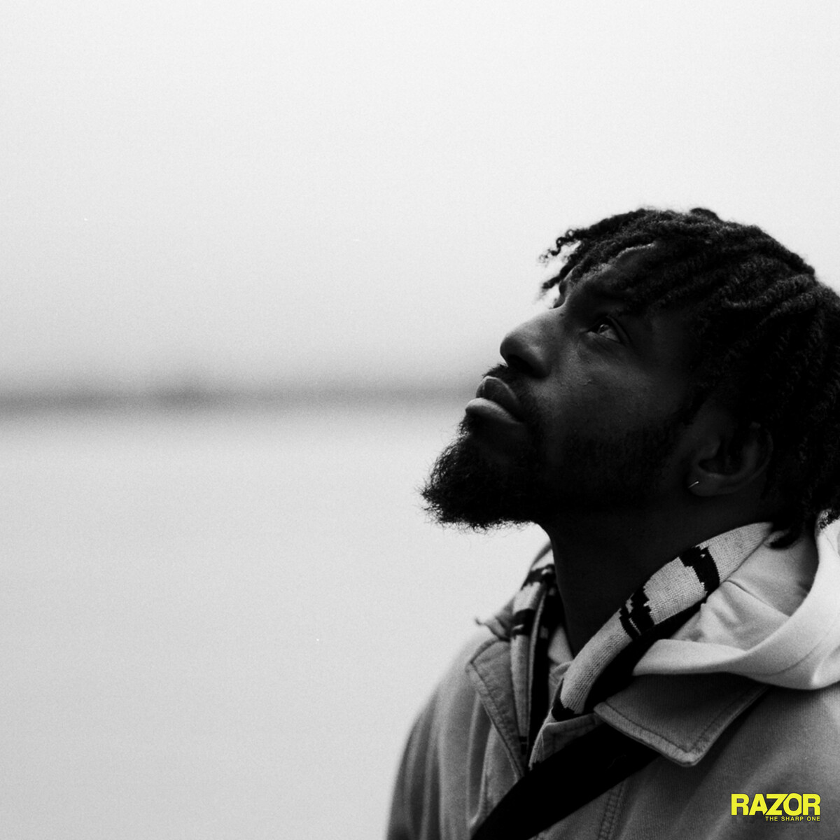 Conquer by Razor (Single): Reviews, Ratings, Credits, Song list - Rate ...