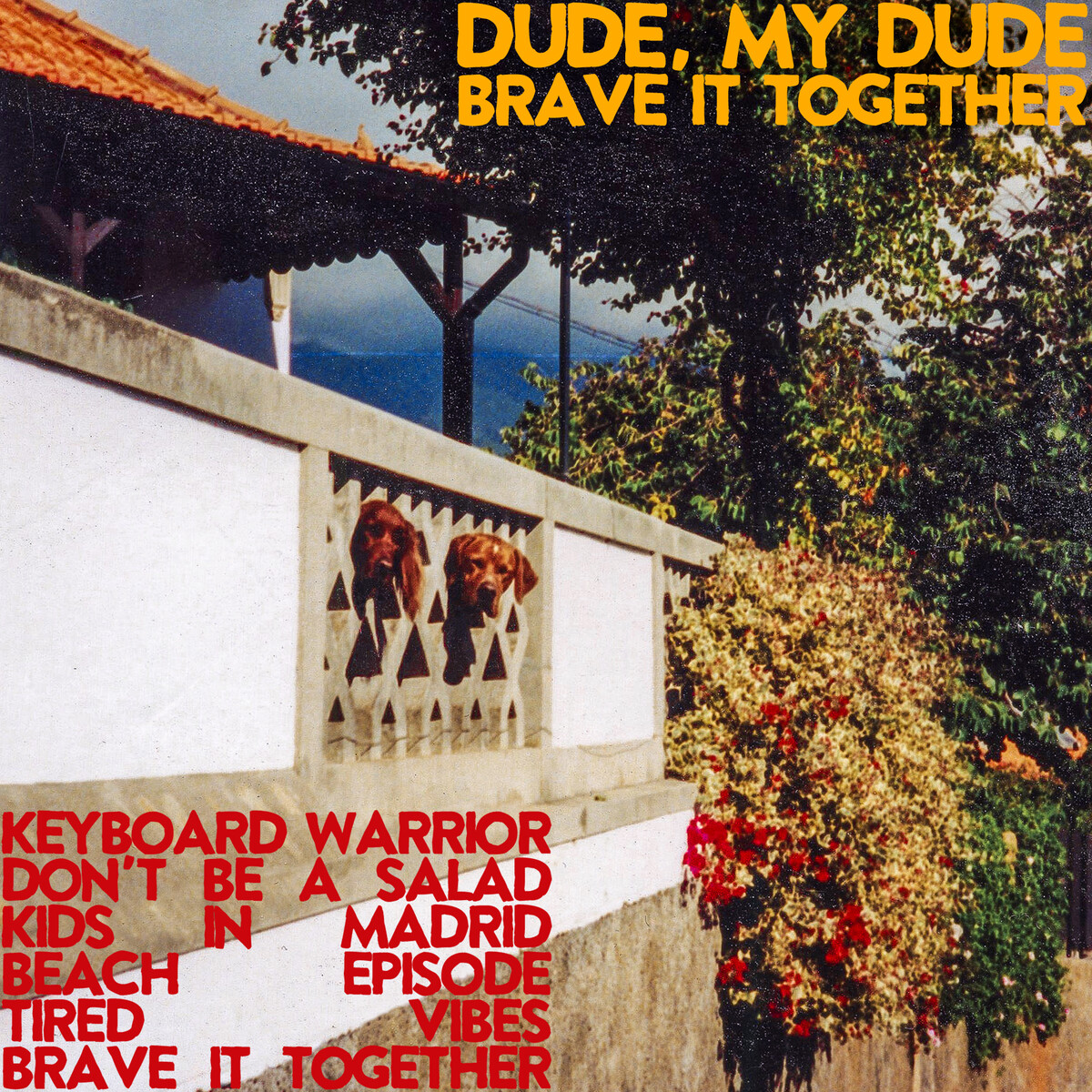 DUDE, MY DUDE Albums: songs, discography, biography, and listening ...