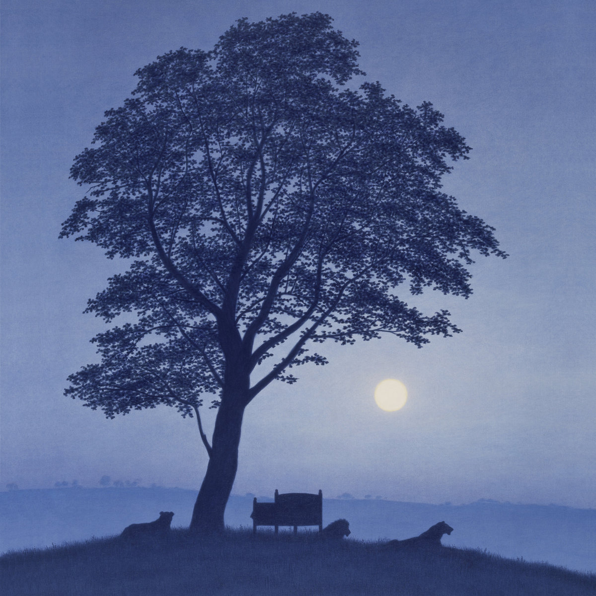 La Louve Albums: songs, discography, biography, and listening guide ...