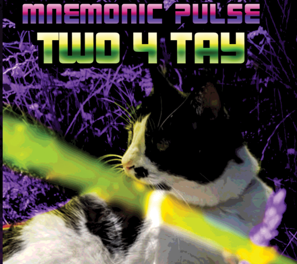 Two 4 Tay by Mnemonic Pulse (Single): Reviews, Ratings, Credits, Song ...