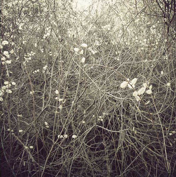 Steven Hess Albums: songs, discography, biography, and listening guide ...