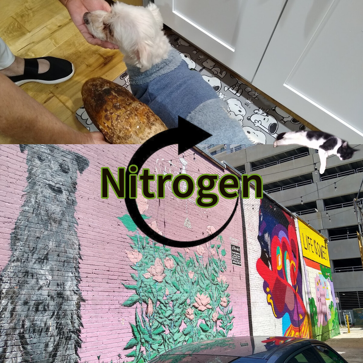 Nitrogen by Booon! Booon! (Single): Reviews, Ratings, Credits, Song ...