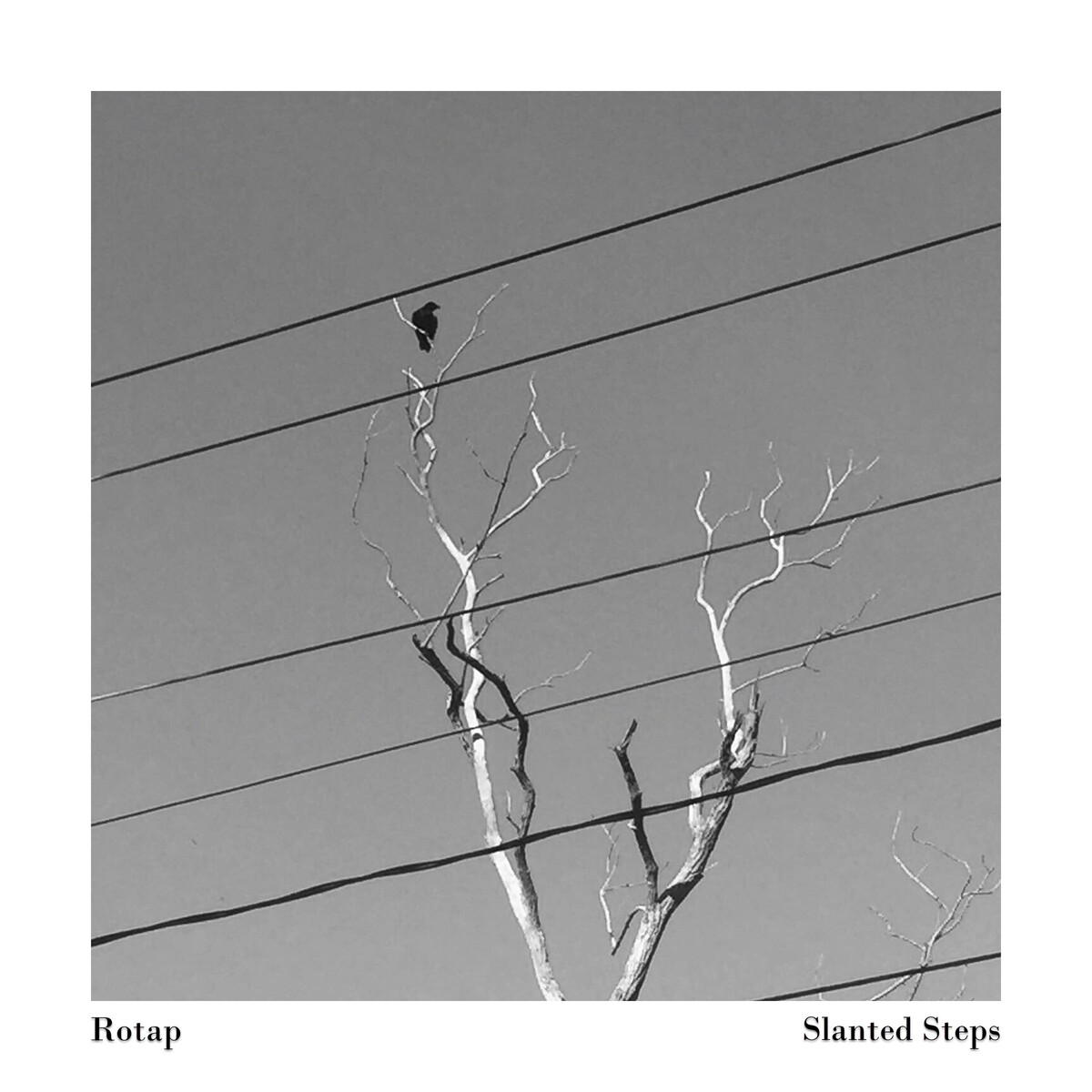 Slanted Steps by Rotap (Album): Reviews, Ratings, Credits, Song list ...