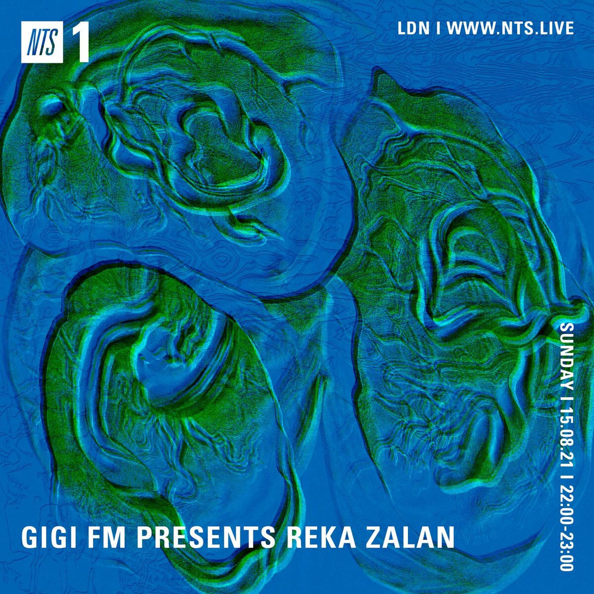 NTS Radio: Gigi FM Show by Reka Zalan (DJ Mix): Reviews, Ratings ...