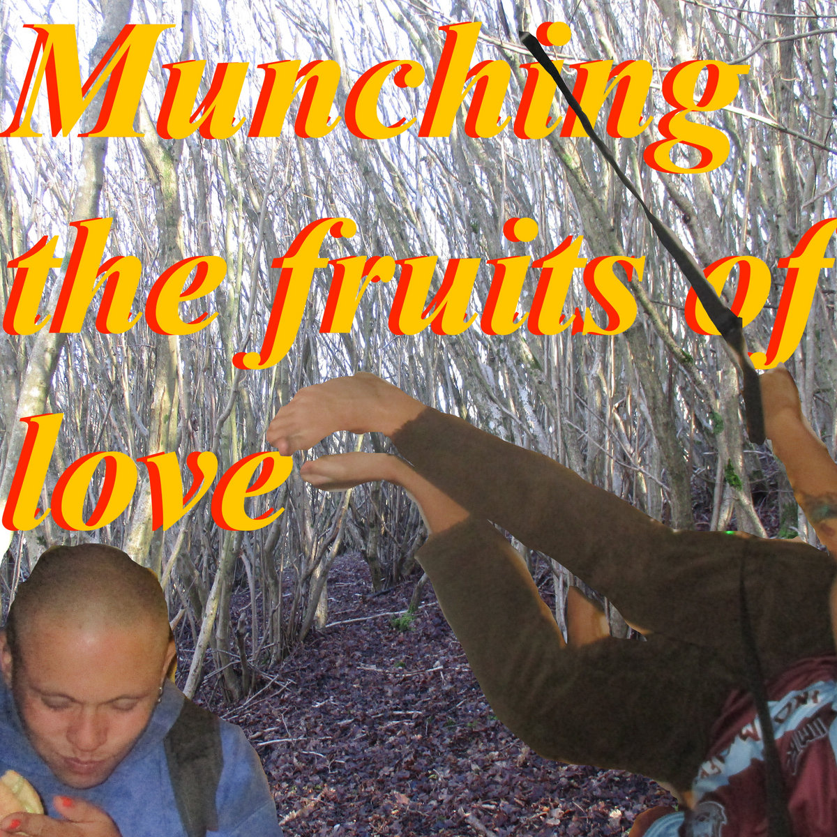 The Fruit Band Albums: songs, discography, biography, and listening ...