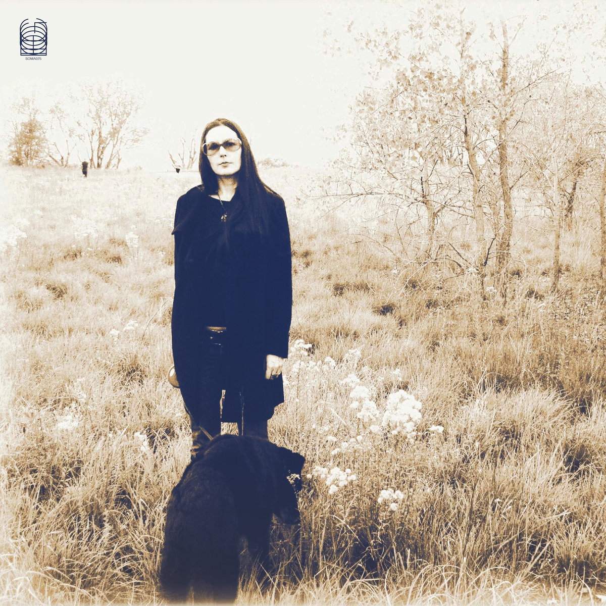 Forever, I've Been Being Born by Jesse Sykes & The Sweet Hereafter (Album; Ideologic Organ ...