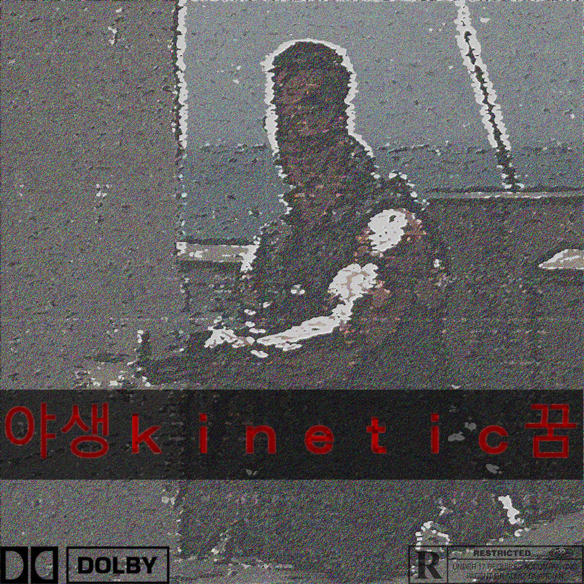Restricted by 야생kinetic꿈 [Wild Kinetic Dreams] (Album): Reviews ...