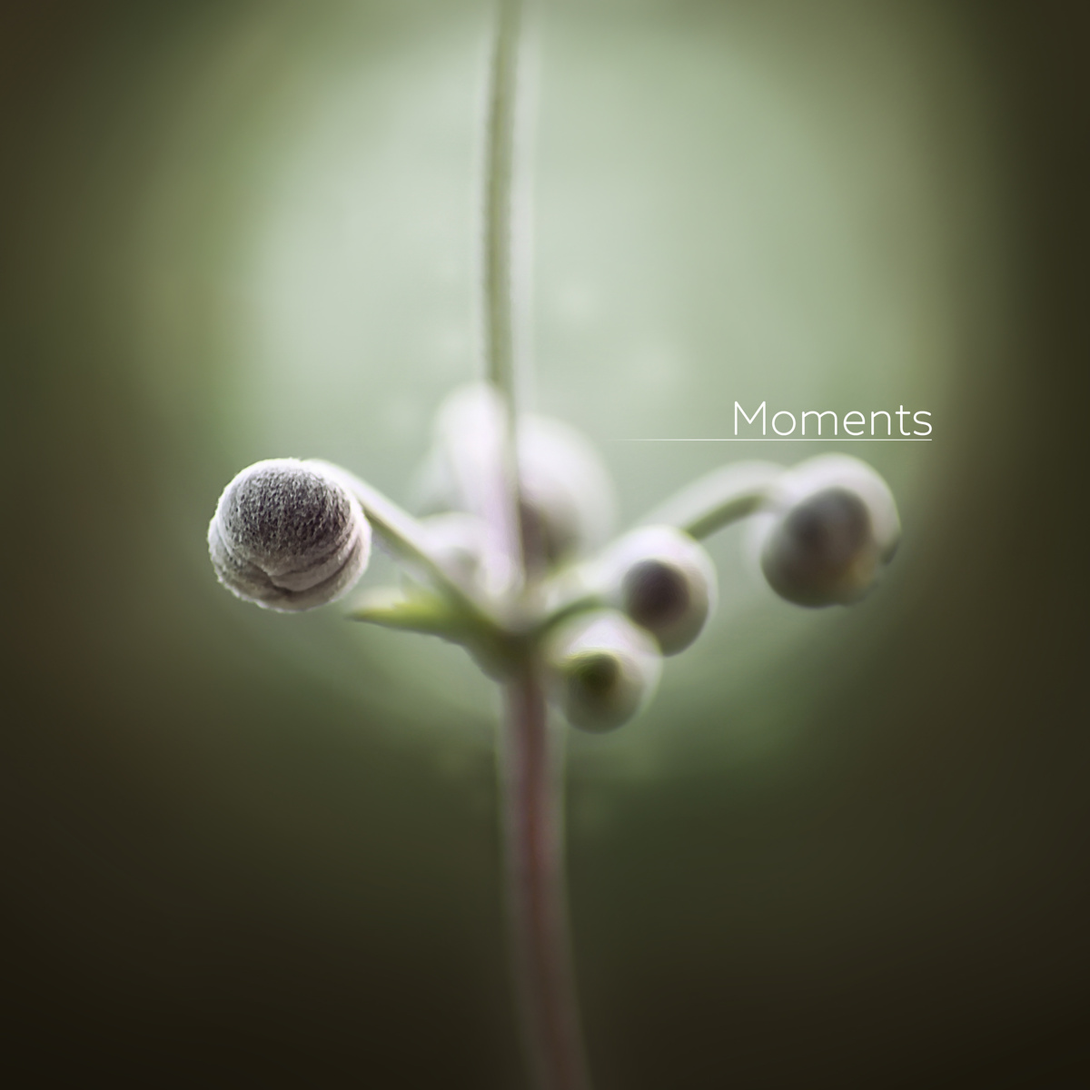 Best Psybient EPs of 2015 - Rate Your Music