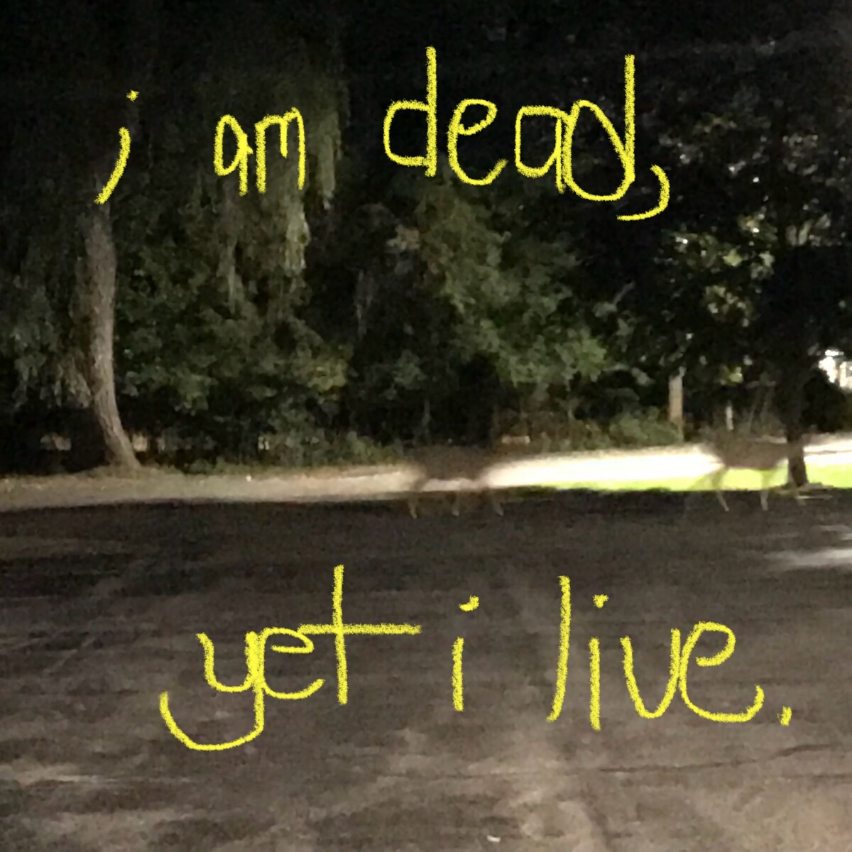 I Am Dead, Yet I Live. by sky ephemera (Album, Field Recordings ...