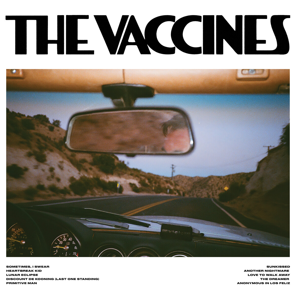 Pick-Up Full of Pink Carnations by The Vaccines (Album, Indie Rock): Reviews, Ratings, Credits ...