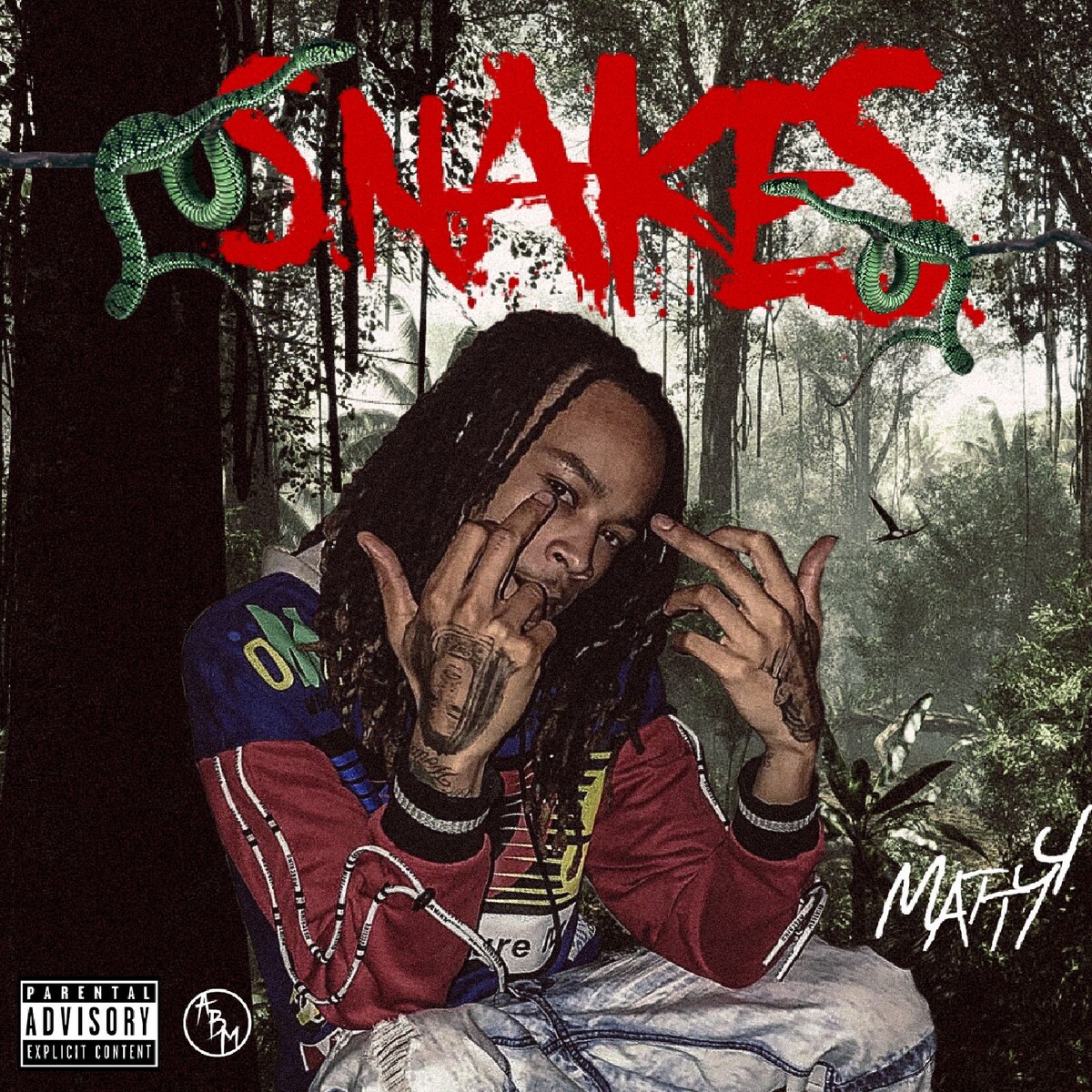 Snakes by Matty4 (Single, Gangsta Rap): Reviews, Ratings, Credits, Song ...