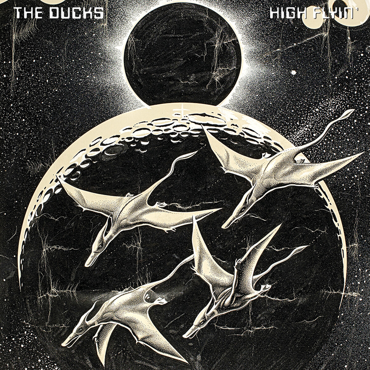 The Ducks Albums: songs, discography, biography, and listening guide ...
