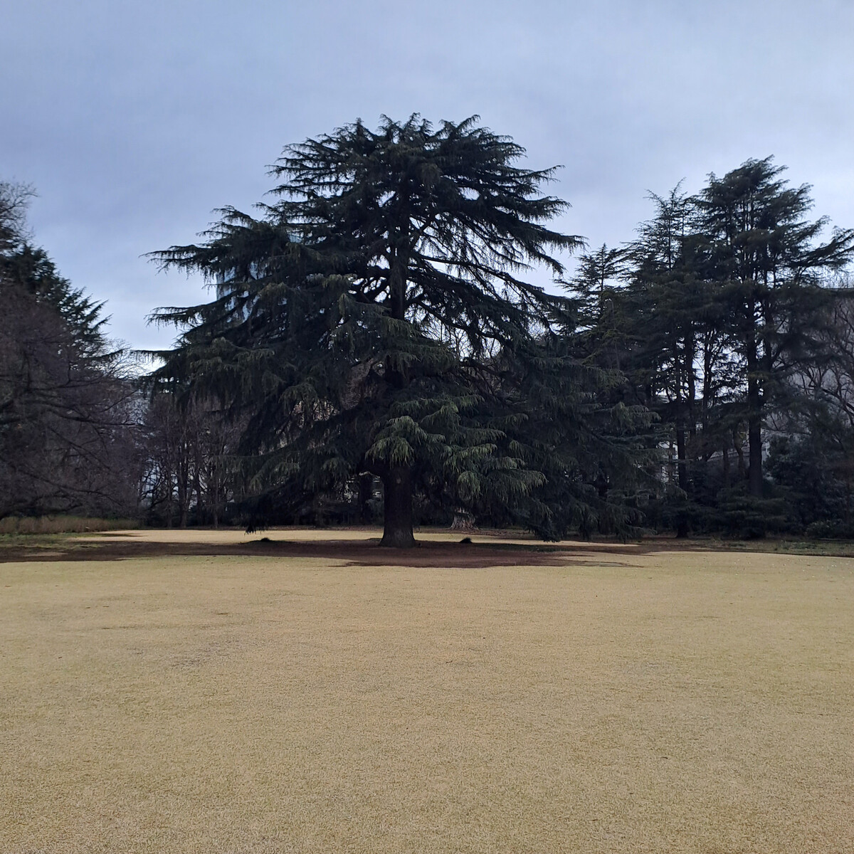 Hako by Karm (Album; Ma): Reviews, Ratings, Credits, Song list - Rate ...