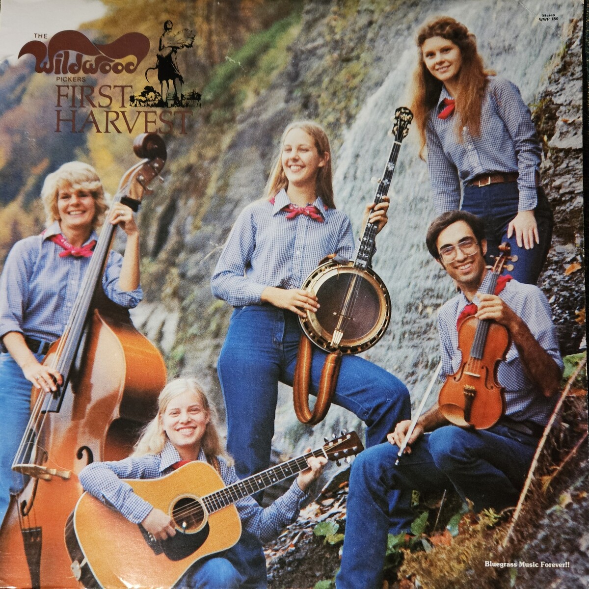 The Wildwood Pickers Albums: songs, discography, biography, and ...