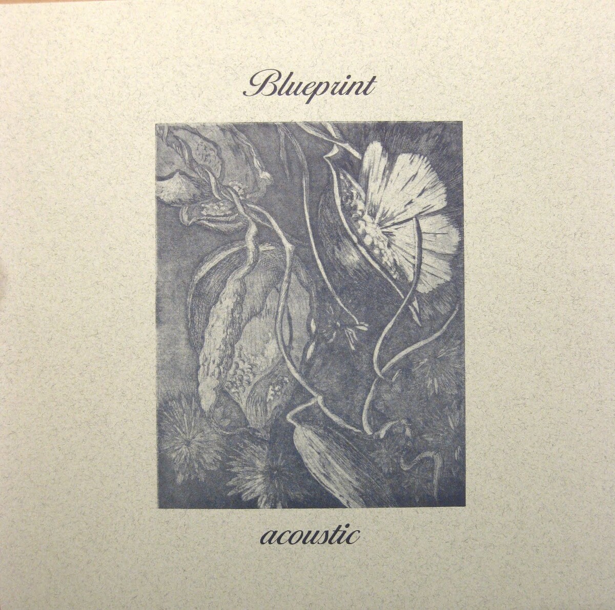 Blueprint Albums: songs, discography, biography, and listening guide ...